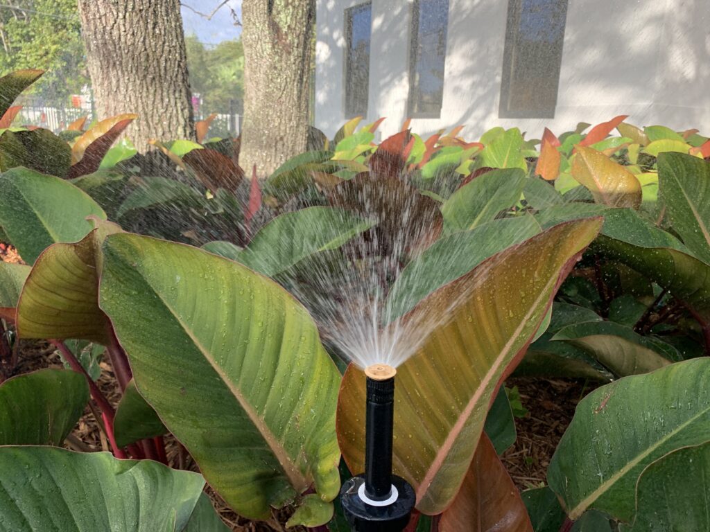 Landscaping Irrigation System - Napoles Irrigation